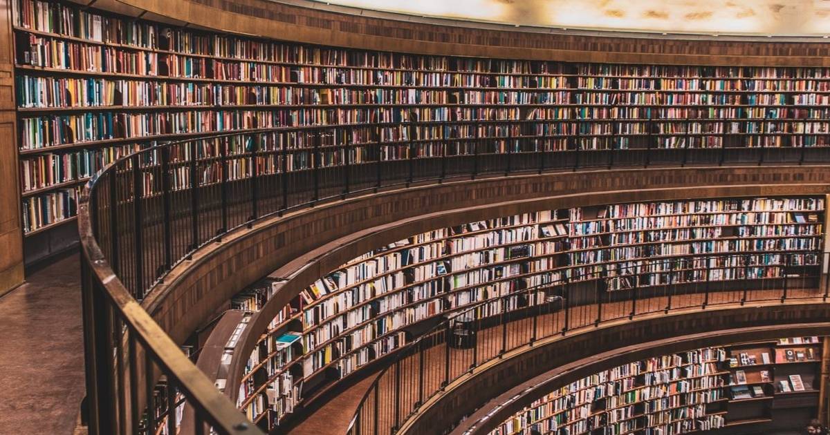 LIBRARY SAMPLE on Virmuze