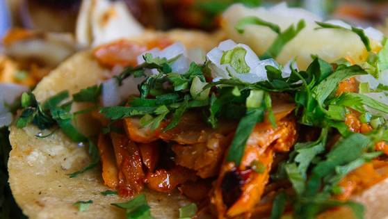 Museum of Tacos on Virmuze