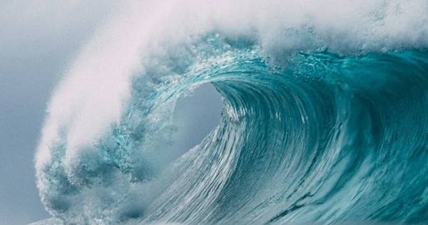 wave museum on Virmuze